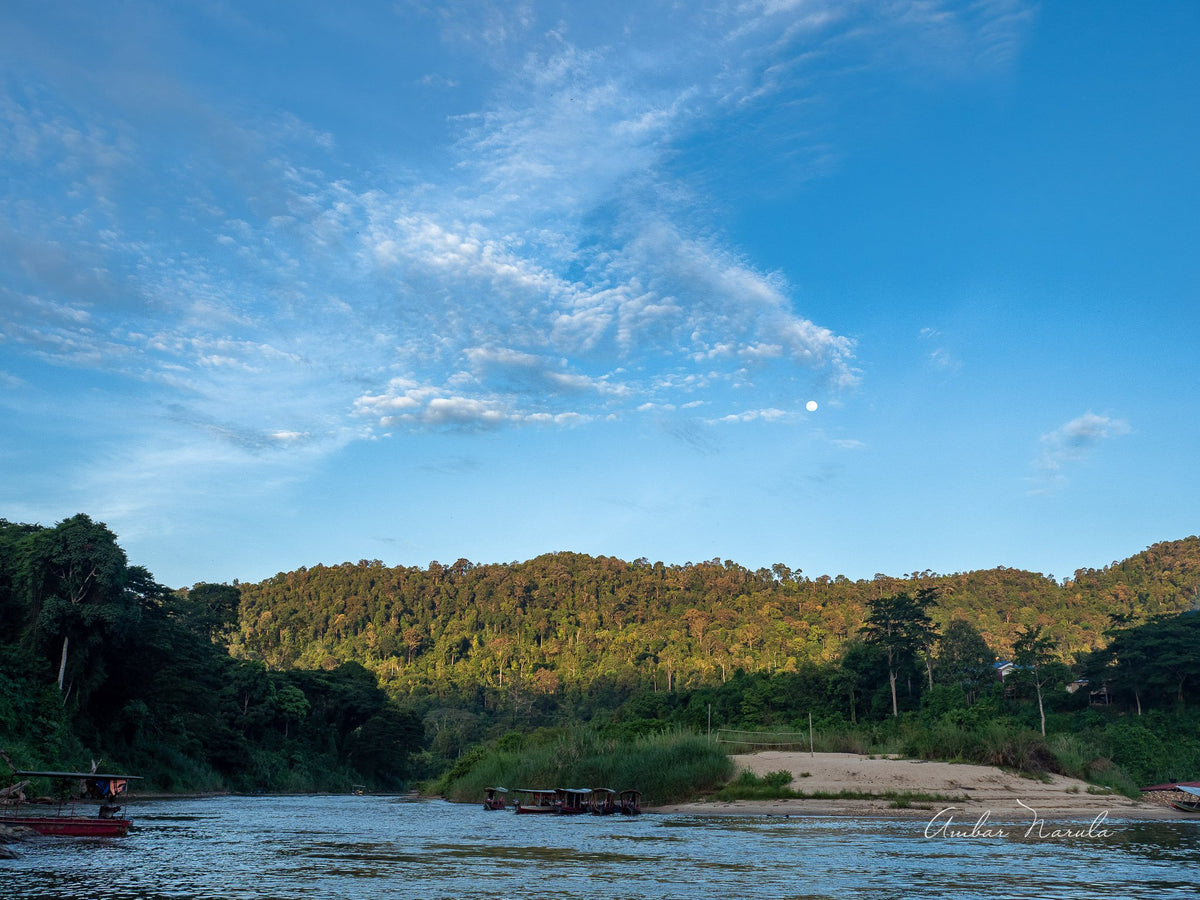 Catch The Moon! – Ambar.Photos